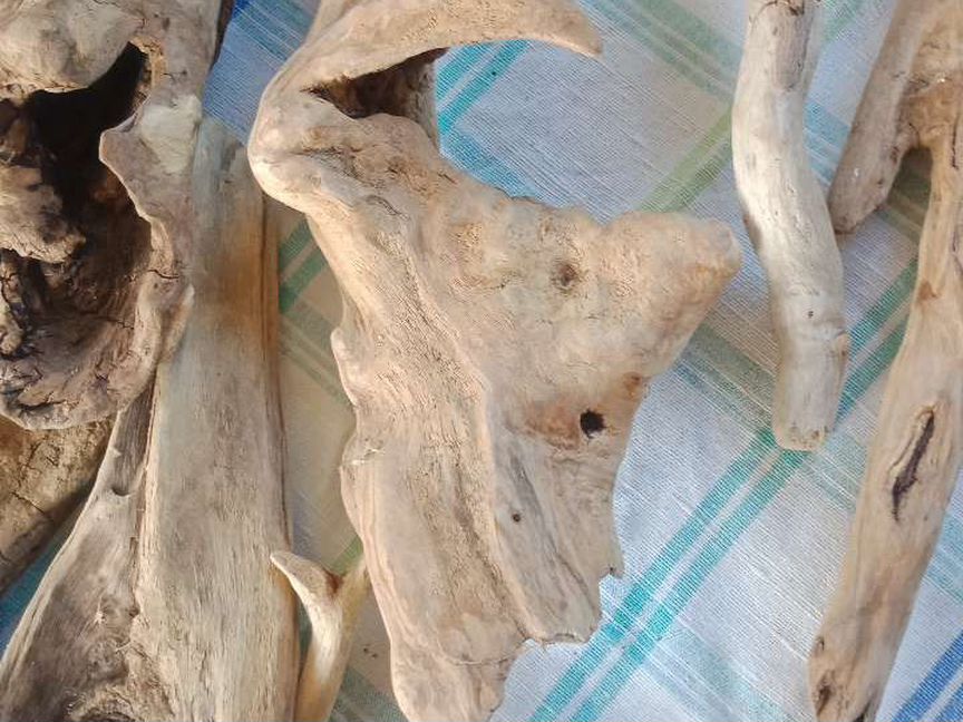 Коряги для террариума