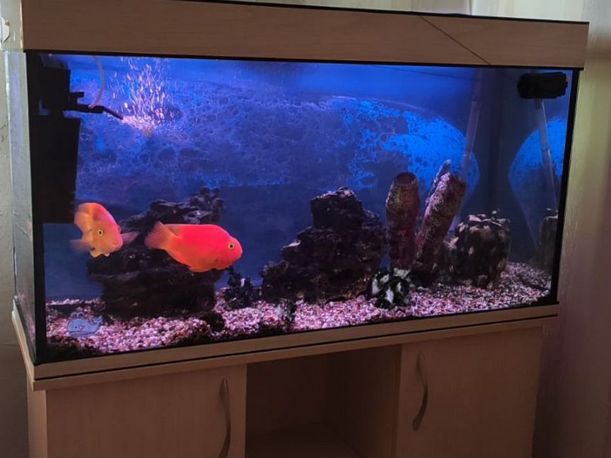 Аквариум с рыбками и с тумбой 160л