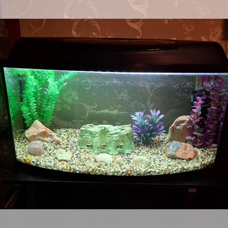 Аквариум с тумбой
