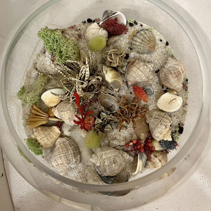 Аквариум круглый 5л (диаметр 24,горловина 16)