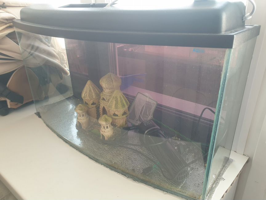 Аквариум Растения