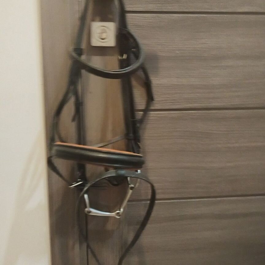 Уздечка в сборе