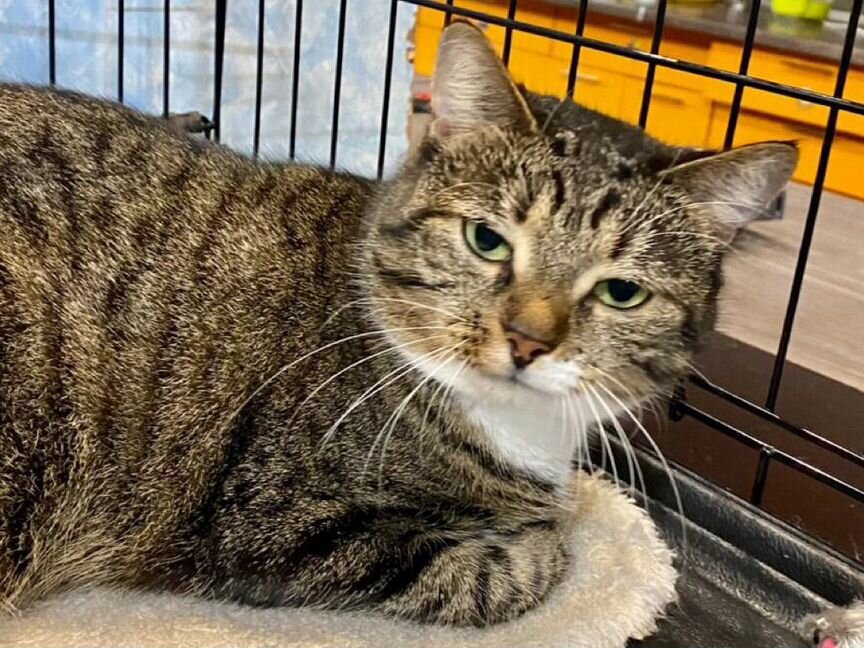 Балериной зовут