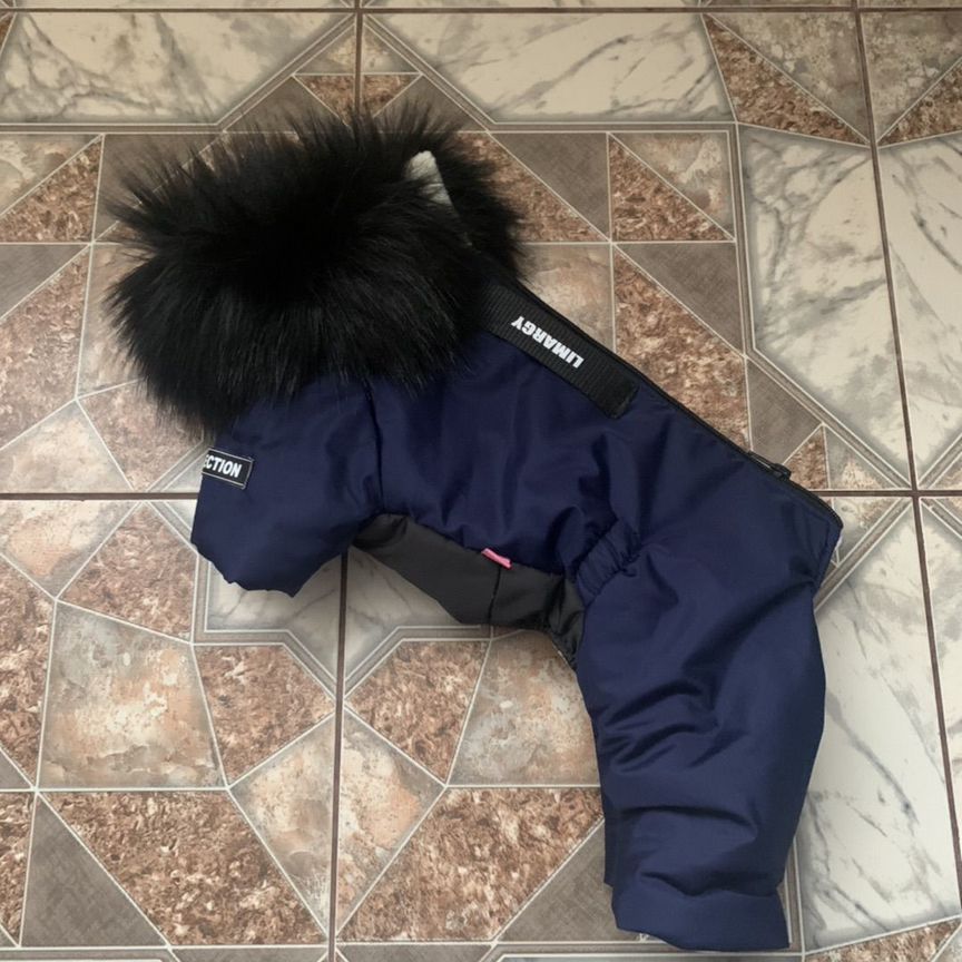 Одежда для собак мелких пород зима