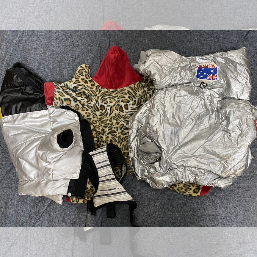 Костюмы на собаку