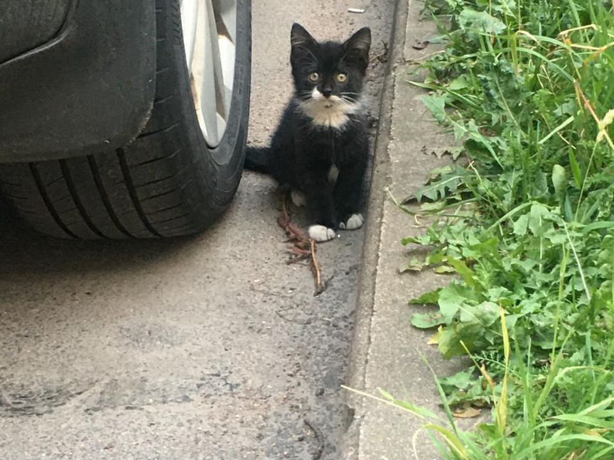 Малышня на улице