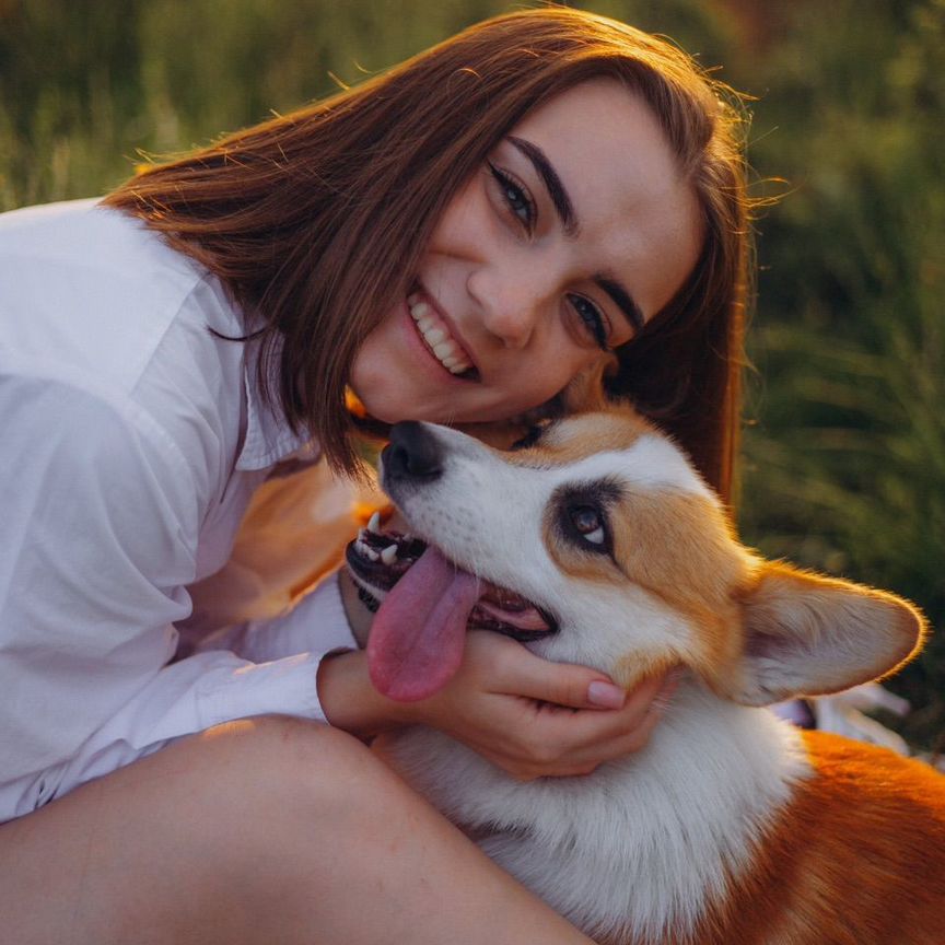 Вязка вельш корги пемброк