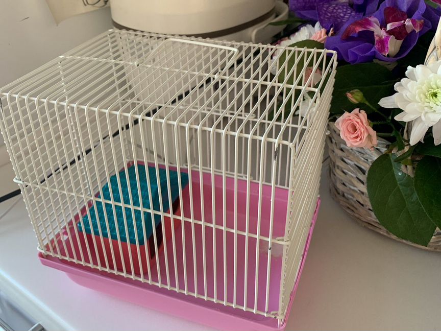 Клетка с домиком