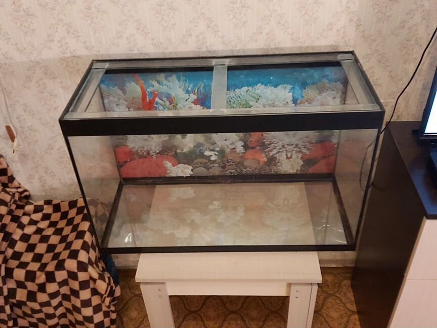 Аквариум 100 литров