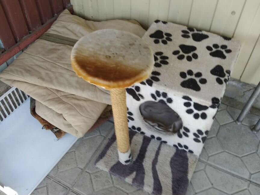 Когтеточка домик для кошки бу