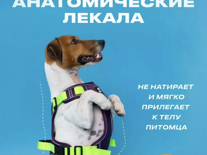 Шлейка для средней собаки