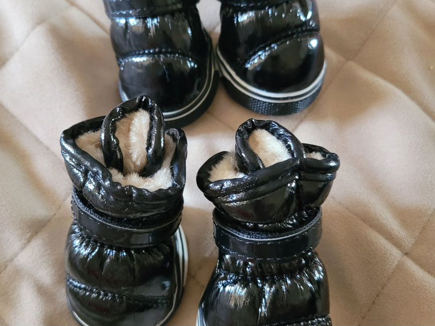 Новая обувь для собак