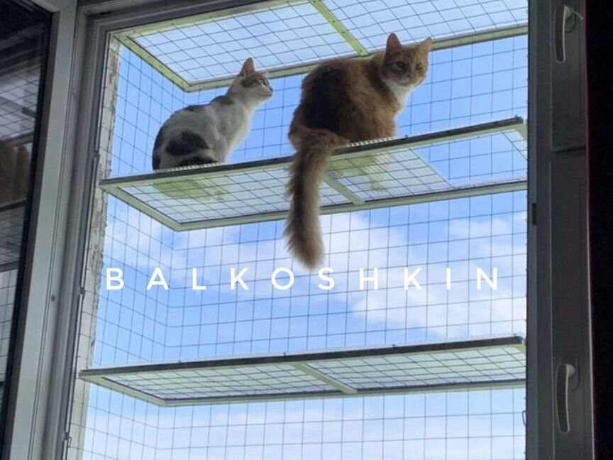 Балкончик для кошки, антикошка на окна, вольер