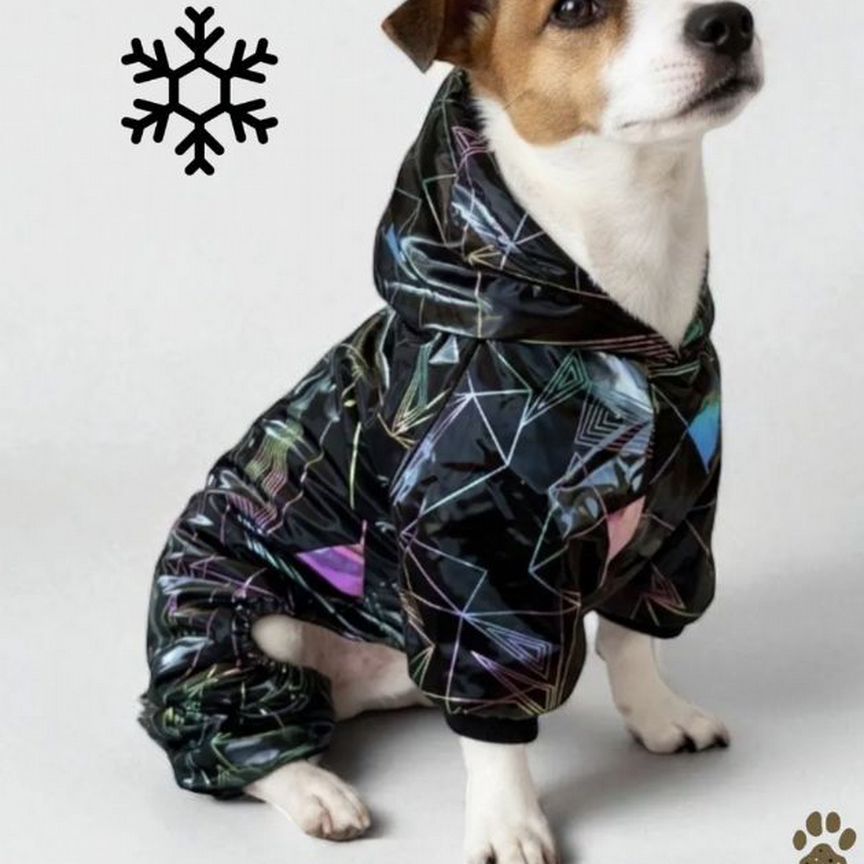 Одежда для собак средних пород