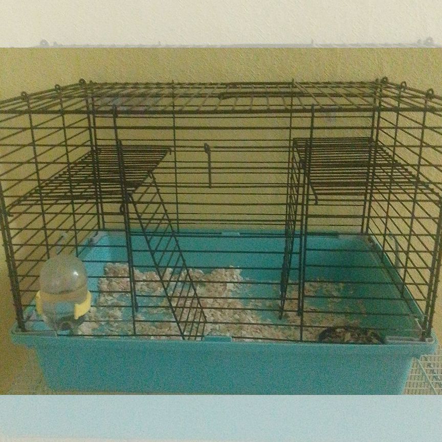 Клетка для грызунов