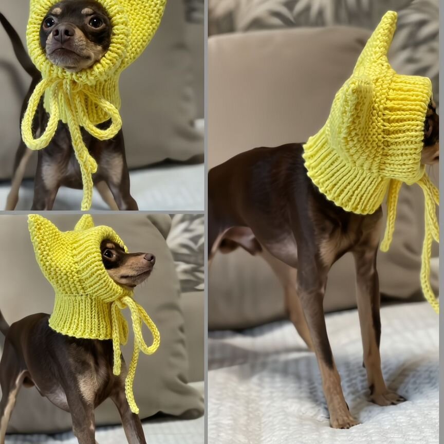 Шапочки для собак и кошек