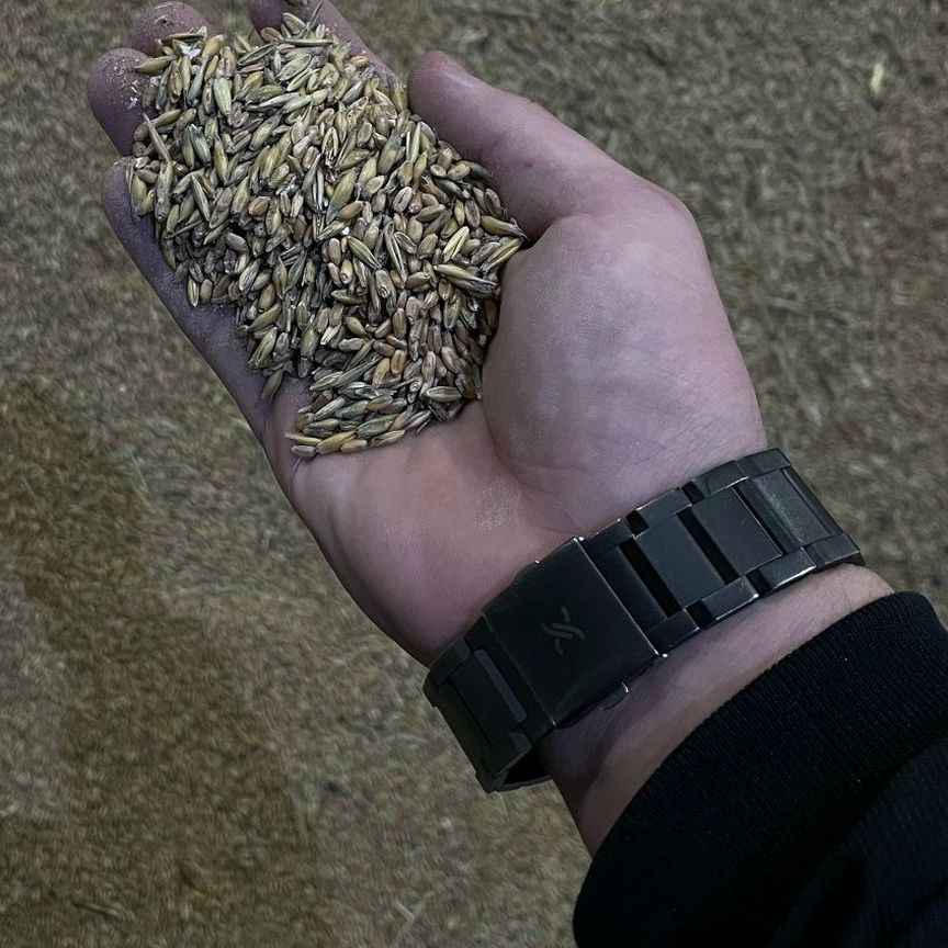 Сельское хозяйство