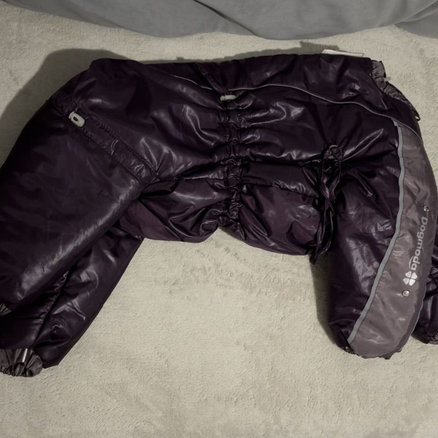 Одежда для собак средних