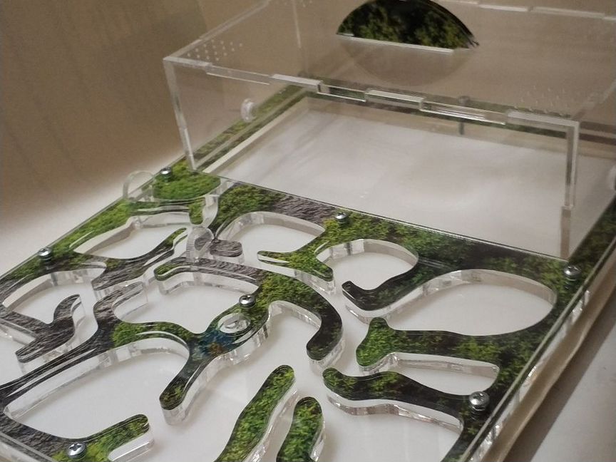 Муравьиная ферма