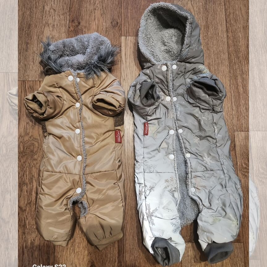 Одежда для собак мелких пород девочка