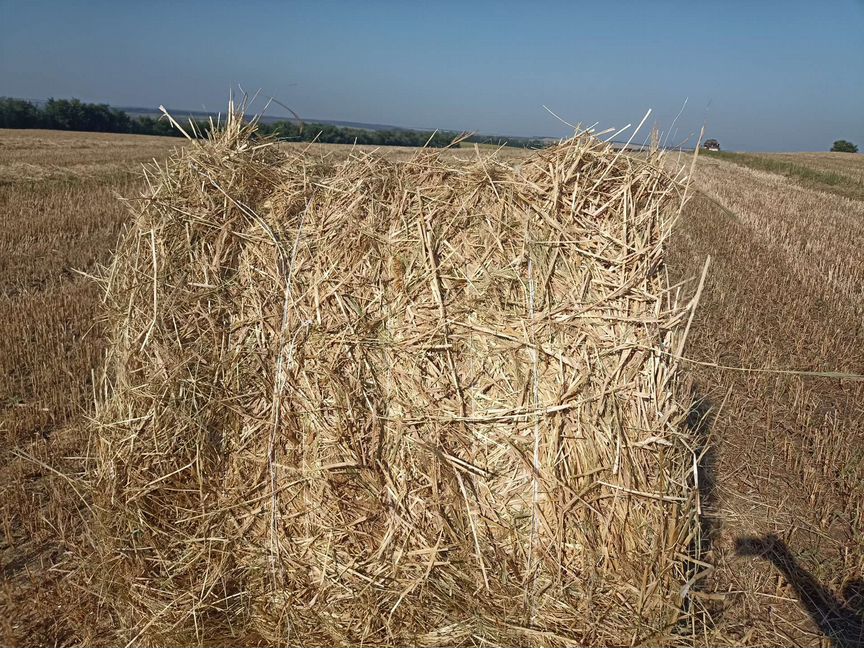 Солома в рулонах