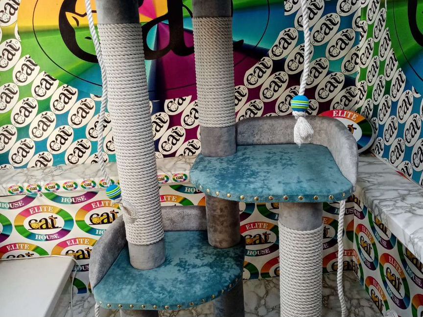 Домик для кошки, когтеточка, комплекс