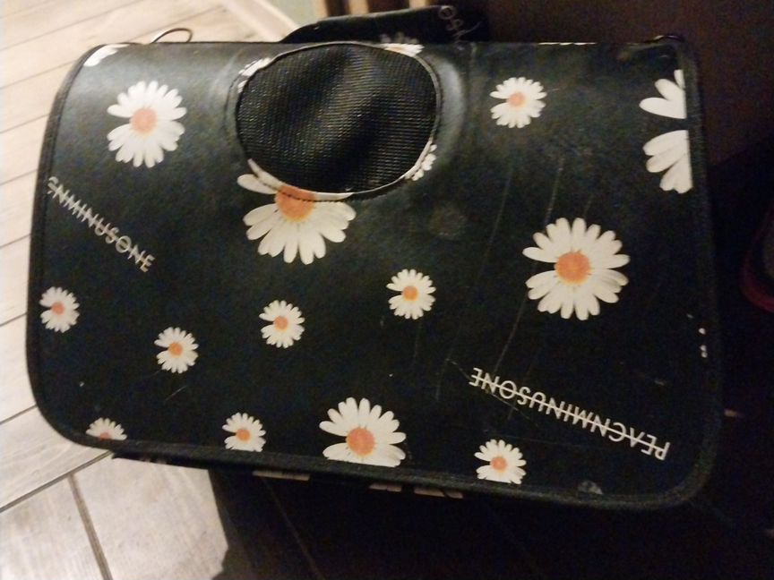 Кошачья переноска