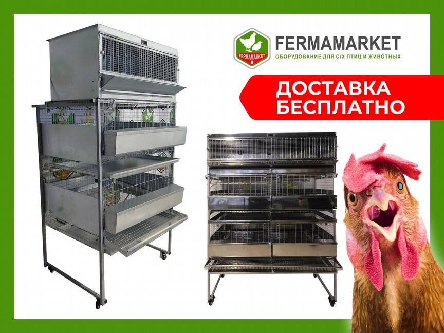 Клетки бройлеров, кур-несушек Медынь
