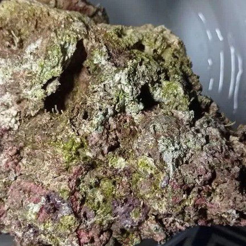 Живые камни для морского аквариума
