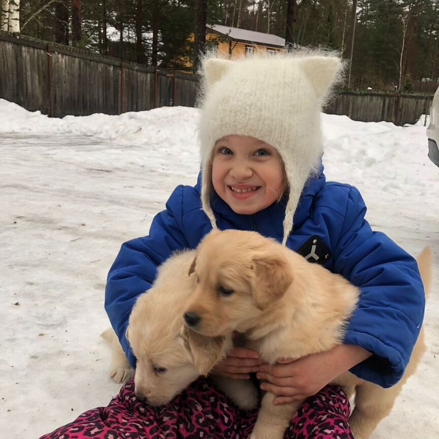 Зенненхунд щенки