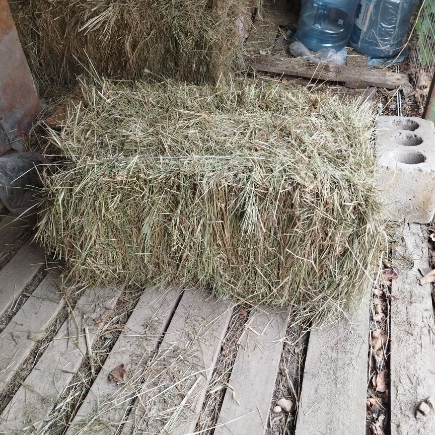 Сено в тюках