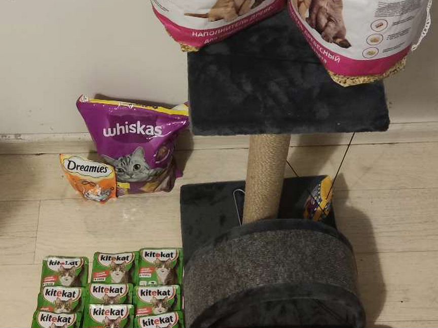 Набор для котенка