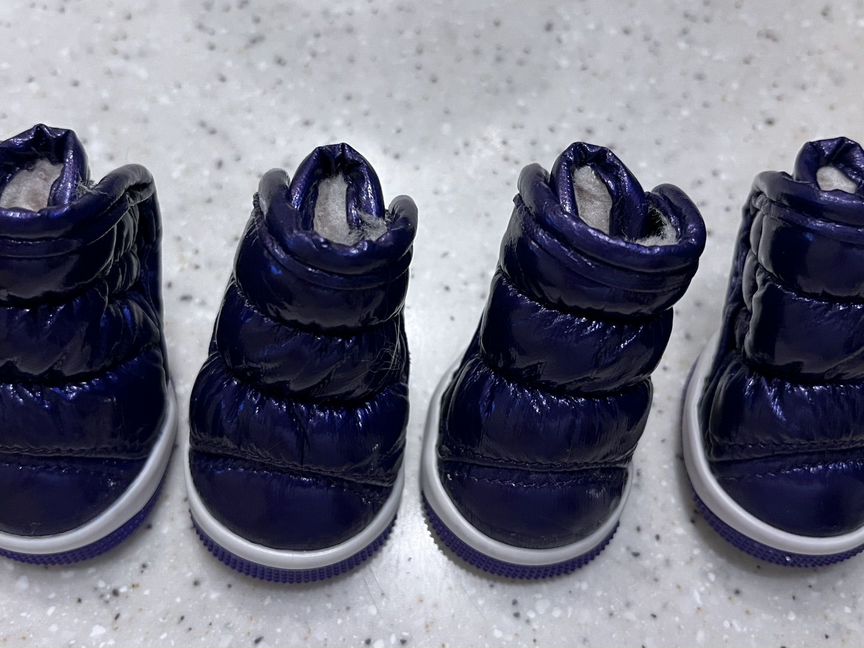 Ботинки для собак