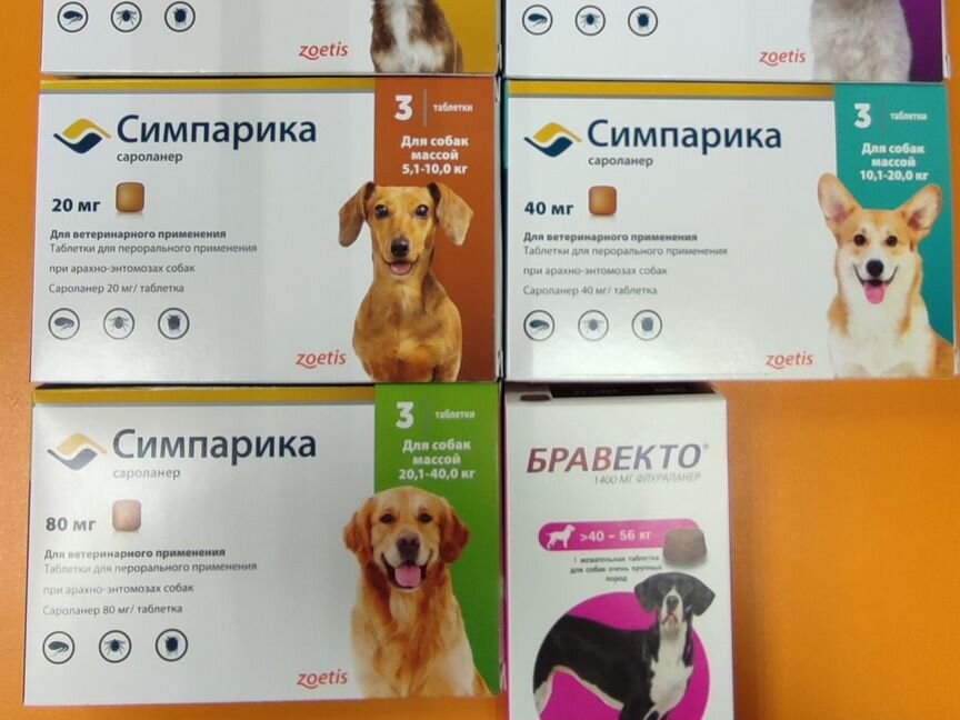 Cuмпapuka и Бpaвekтo