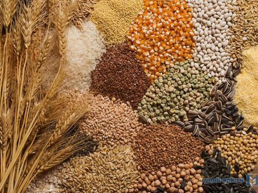Зерно для сельскохозяйственных животных