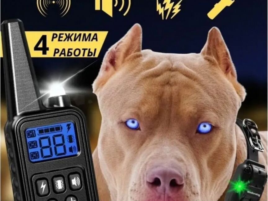 Электронный ошейник для собак с пультом