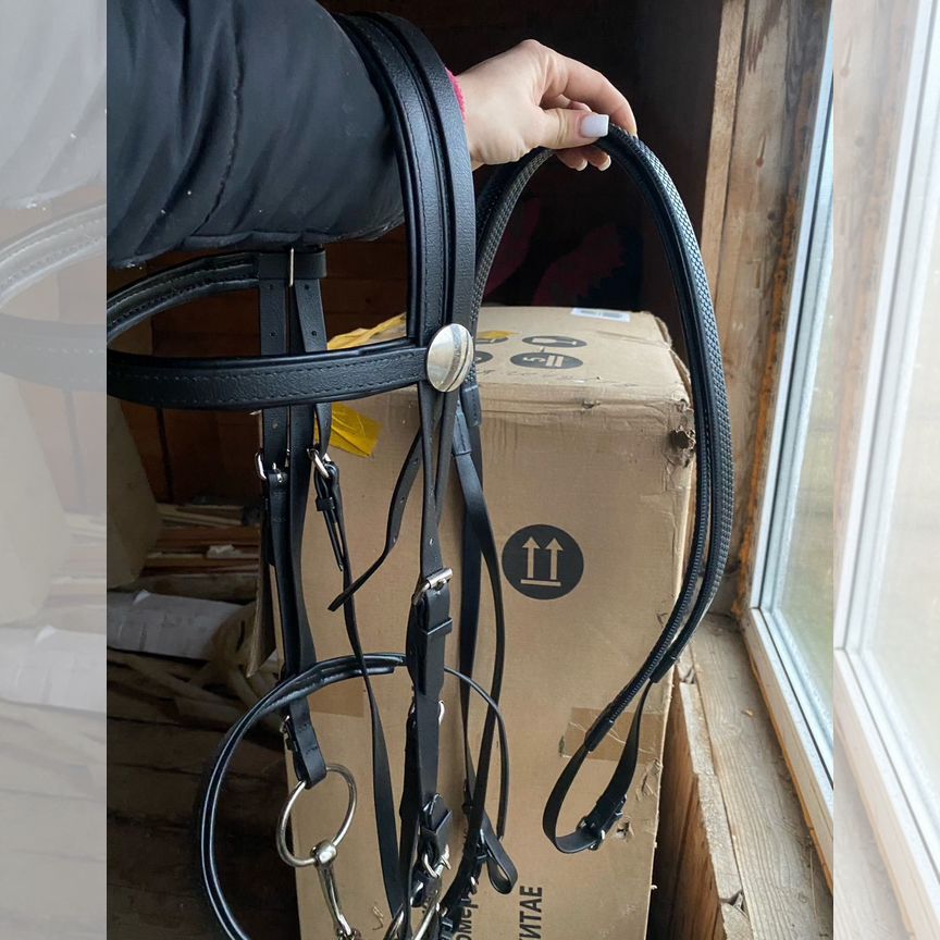 Уздечка для лошади