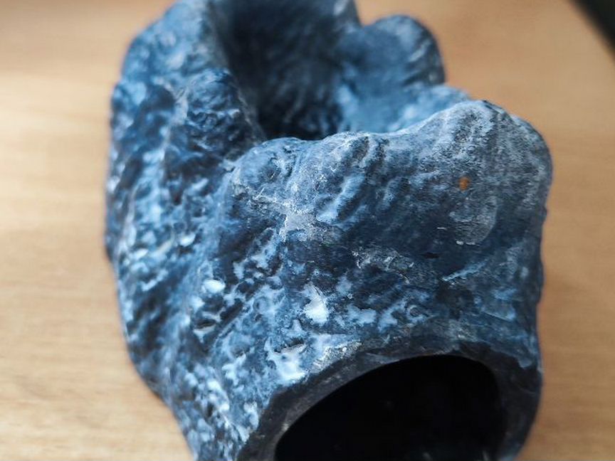 Влажная камера для рептилий