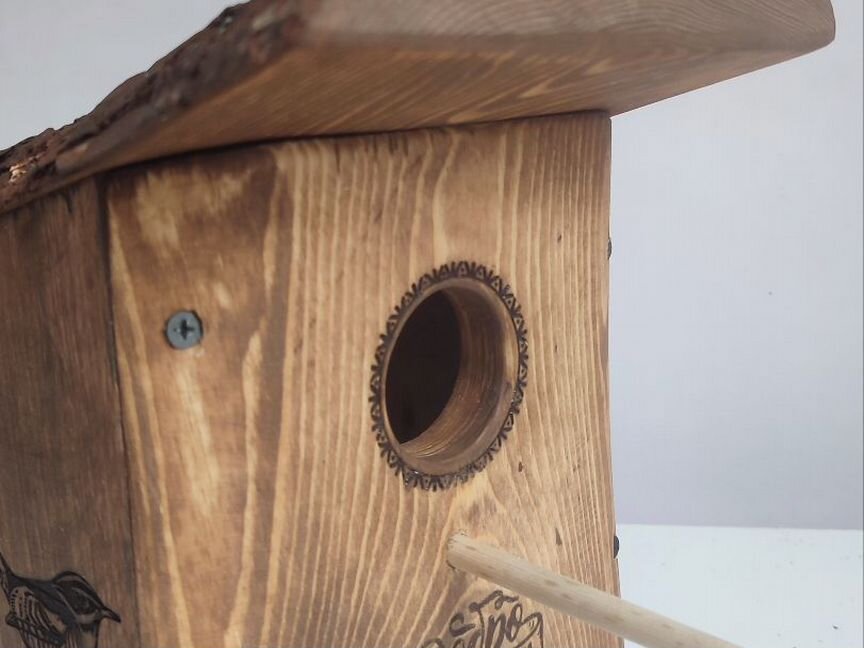 Элитные апартаменты для перелетных птиц