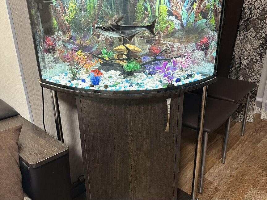 Аквариум с тумбой и рыбками