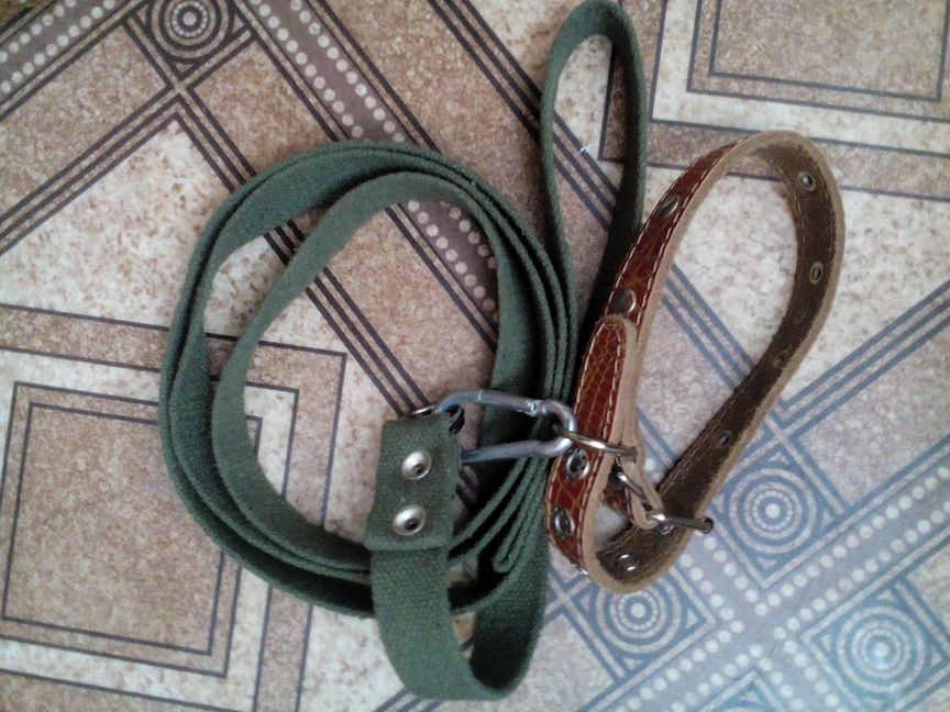 Ошейник и поводок для собак из СССР