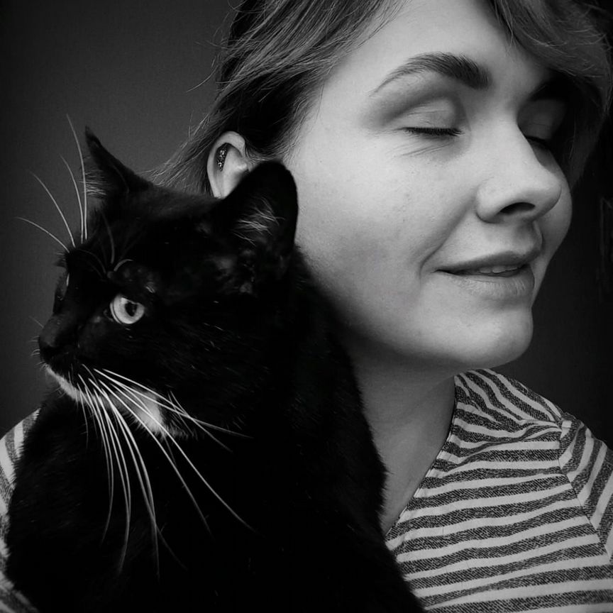 Котик ищет дом