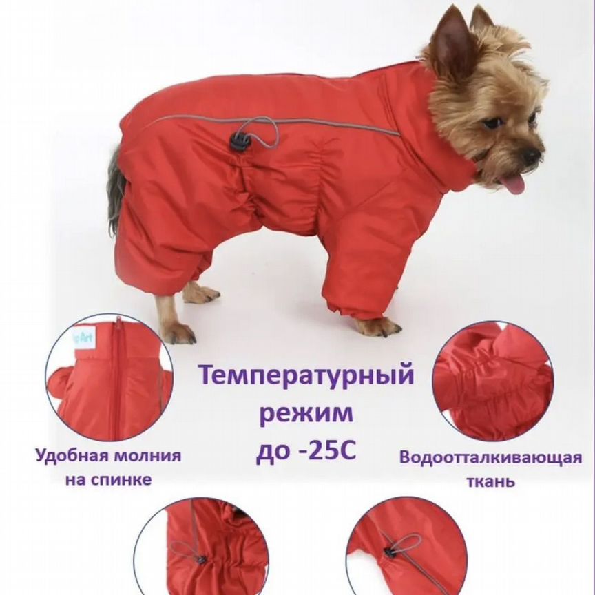 Одежда для собак мелких пород