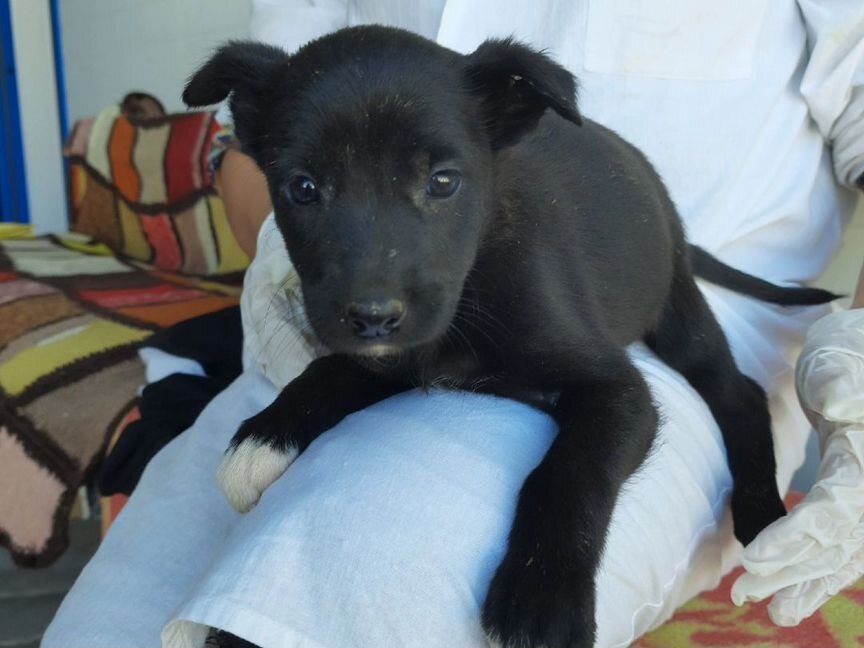 Заберите малышку домой