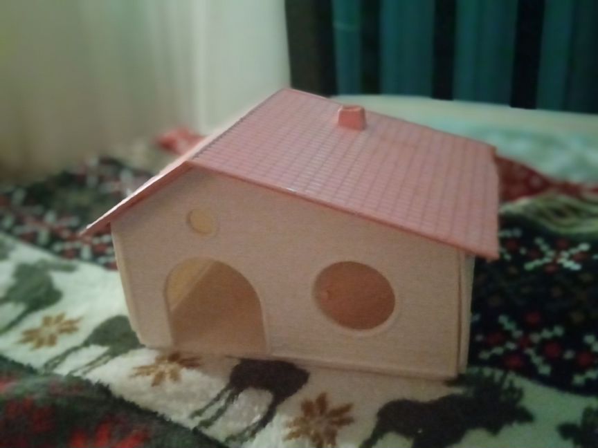 Домик для крыс, хомяков, с Грузынком