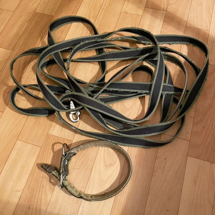 Поводок и ошейник бу
