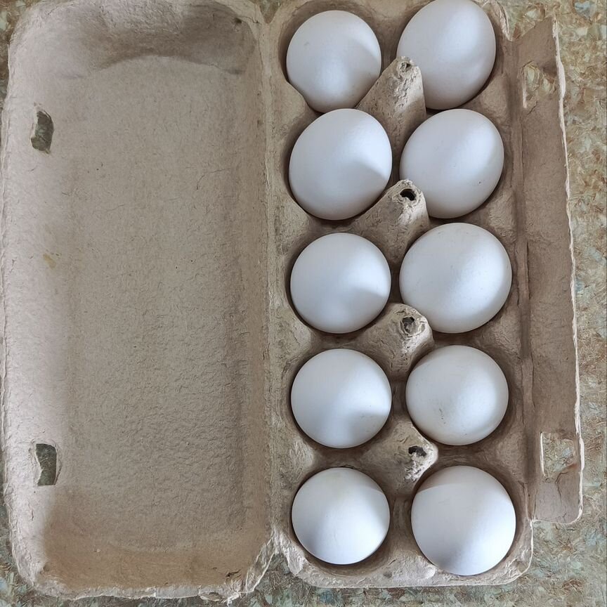 Яйцо куриное