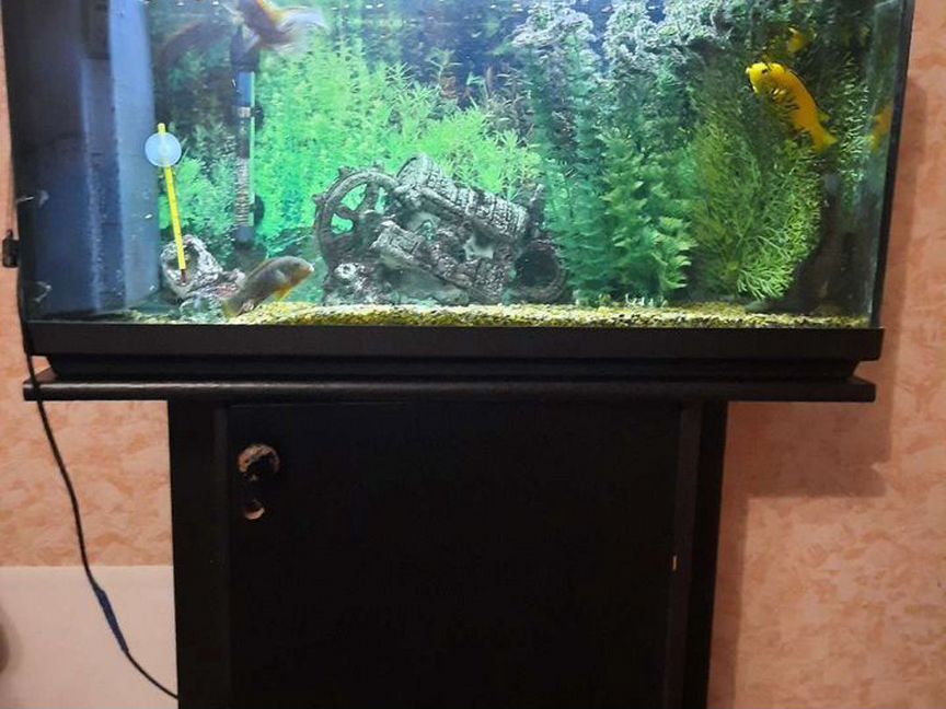 Аквариум с тумбой бу