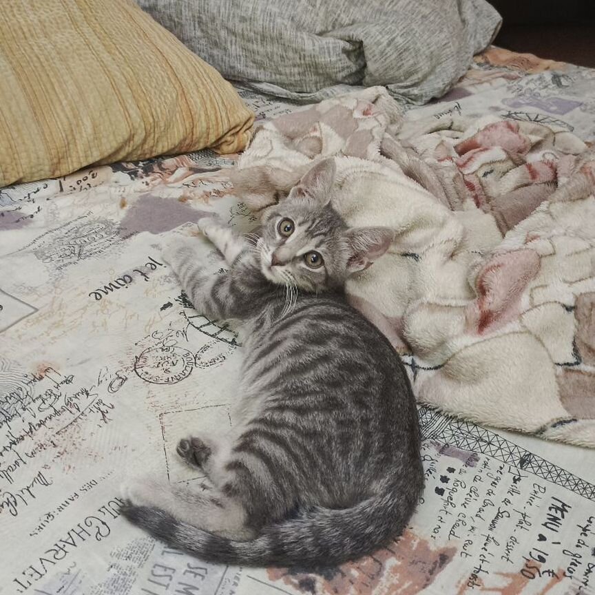 Сонечка ищет семью