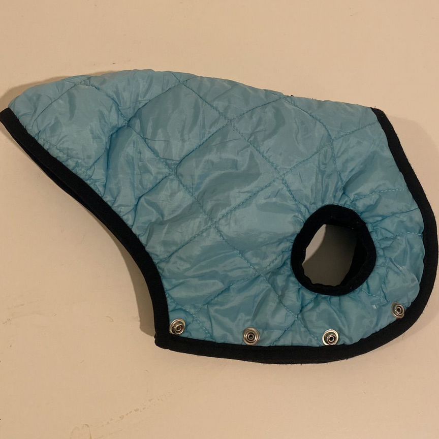 Puppy angel M Одежда для маленьких собак